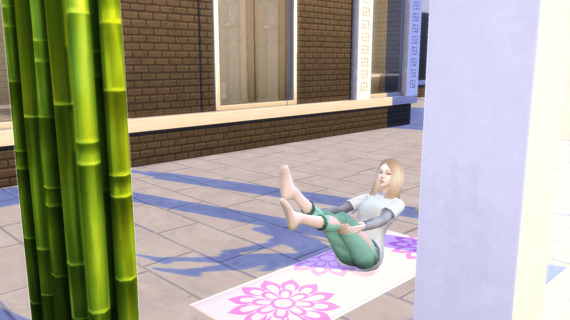 Wellness Skill - The Sims 4 Guides - MiCat Game