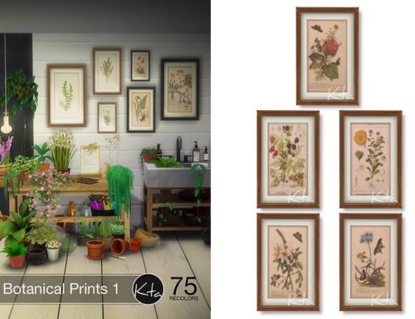 The Sims 4 Botanical Prints 1 at Ktasims - MiCat Game